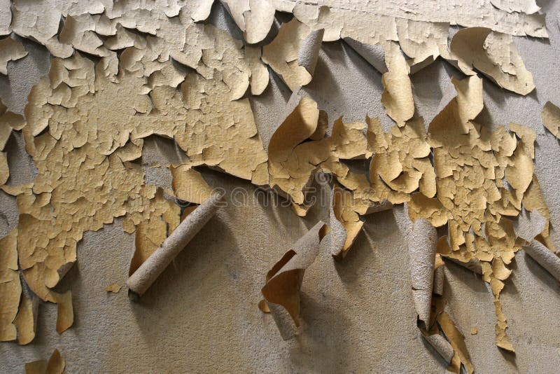 Swollen, Shattered, Broken, Peeling Wall Paint Stock Photo - Image of ... Swollen, Shattered, Broken, Peeling Wall Paint Stock Photo - Image of ...