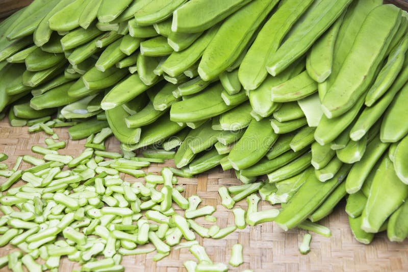 Sword Beans Isolated stock photo. Image of healthy, ingredients - 10473896