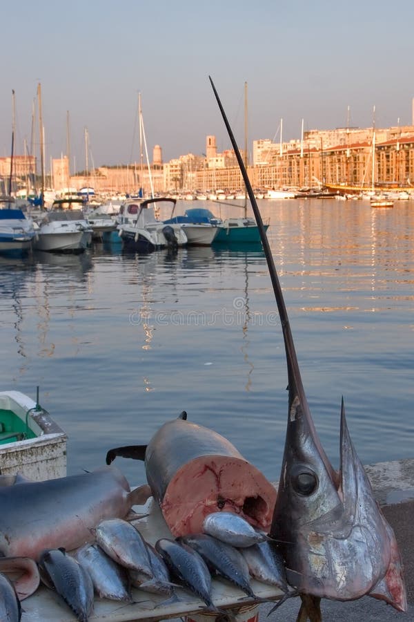 Sword - fish stock image. Image of port, ship, culture - 17177875