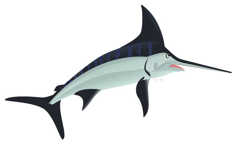Sword Fish sea animal stock vector. Illustration of sailfish - 76770827