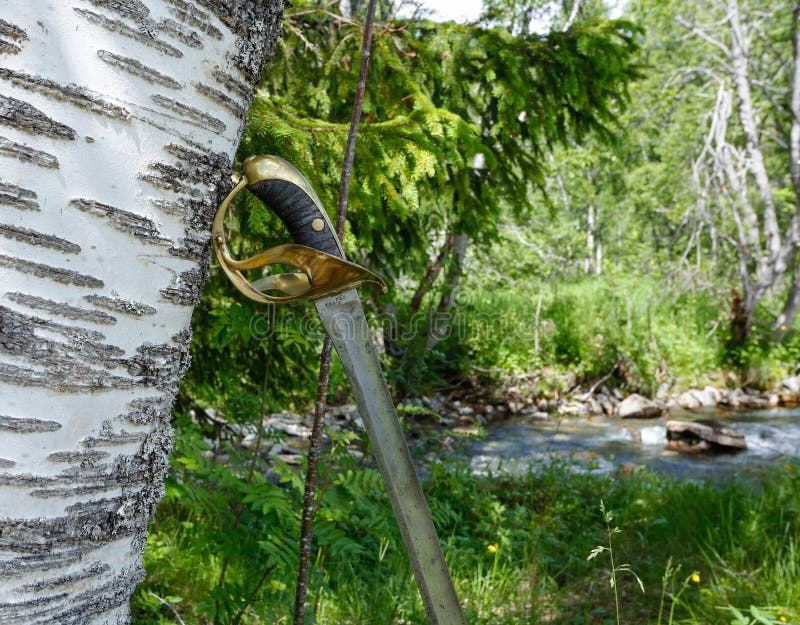 128 Leaning Sword Stock Photos - Free & Royalty-Free Stock Photos from ...