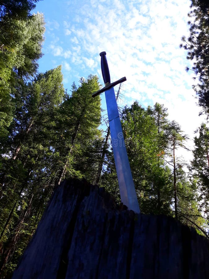 Sword at rest stock photo. Image of tree, treestump - 161028978