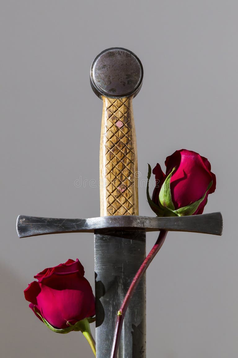 810 Sword Rose Stock Photos - Free & Royalty-Free Stock Photos from ...