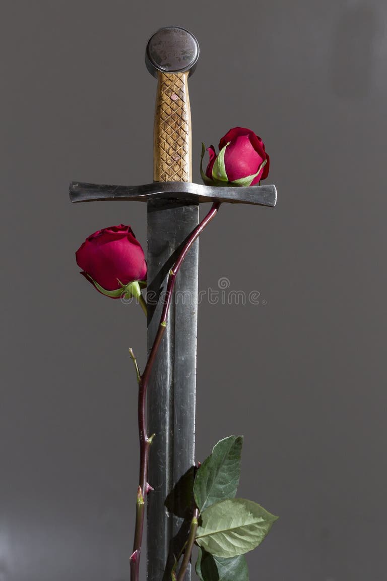 810 Sword Rose Stock Photos - Free & Royalty-Free Stock Photos from ...