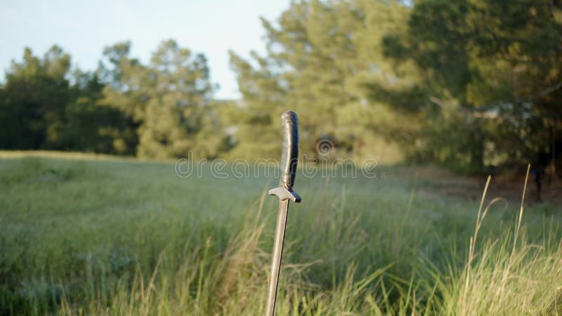 The Sword is Stuck in the Ground in the Middle of a Forest Clearing at ...
