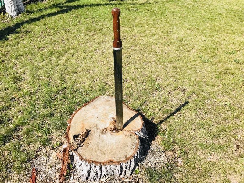 Sword stock photo. Image of vertical, tree, knife, sword - 119540444
