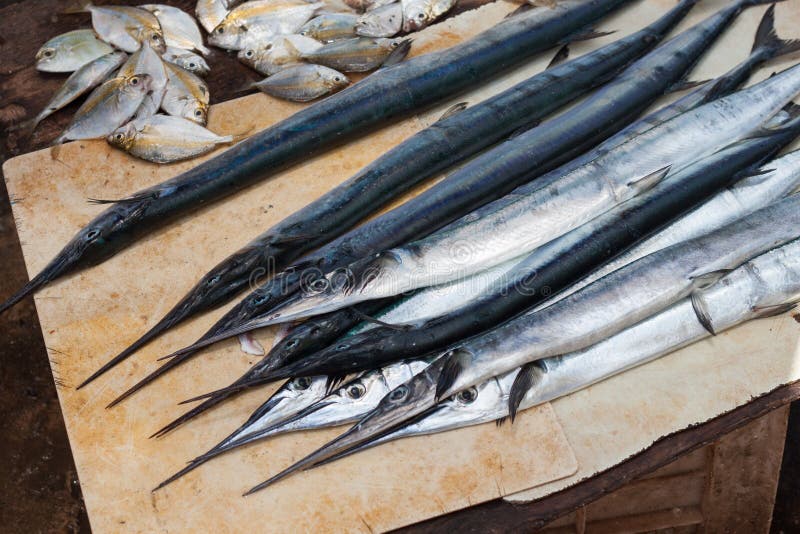 Tuna and Swordfish in Crete Stock Image - Image of environment ...