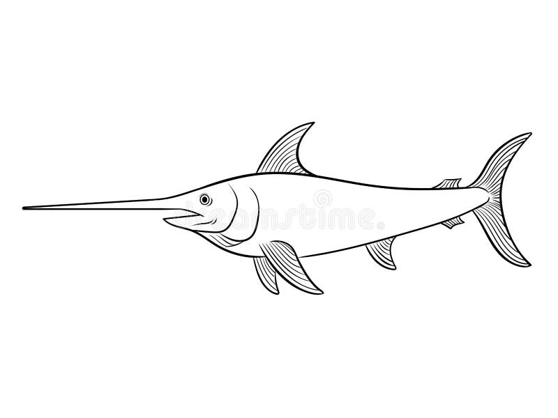 Swordfish Coloring Pages