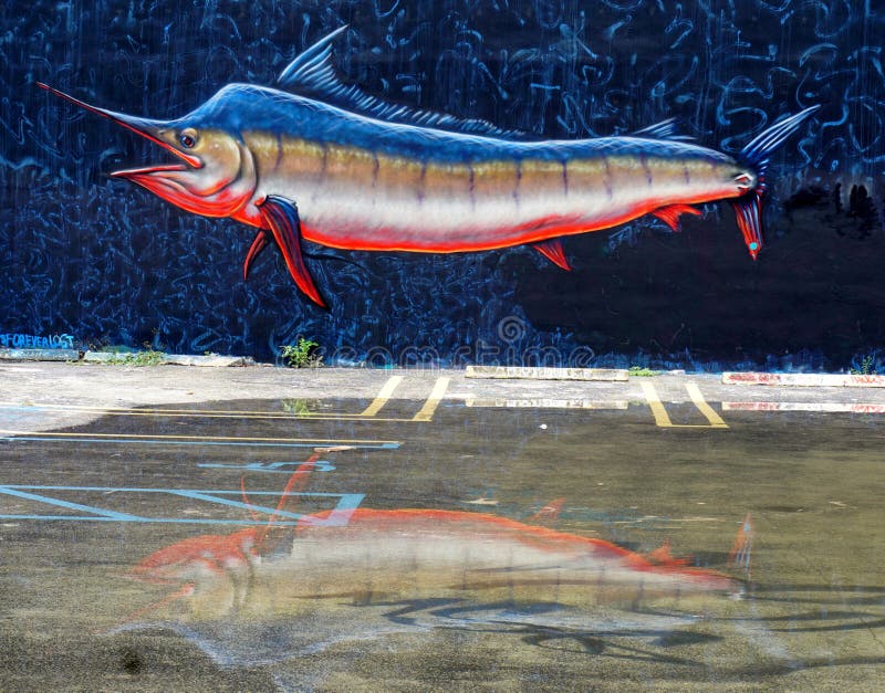 Blue Swordfish stock image. Image of sword, fish, marlin - 20922823