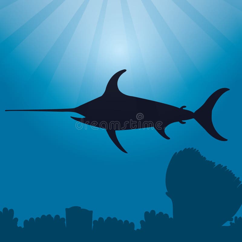 Set of Swordfish Silhouette Vector Art on a White Background Stock ...