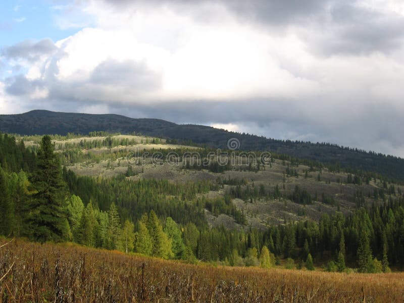 Syberyjska tajga obraz stock. Obraz złożonej z syberyjski - 35377849