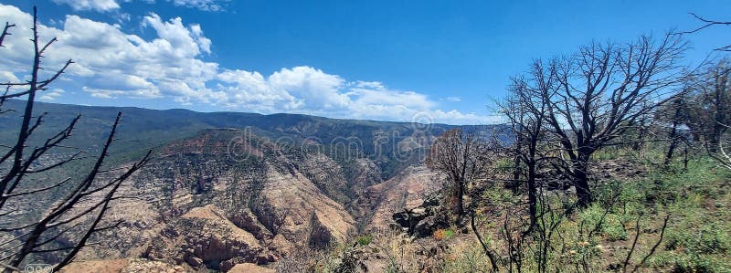 Sycamore Point Williams Arizona Stock Image - Image of williams, point ...