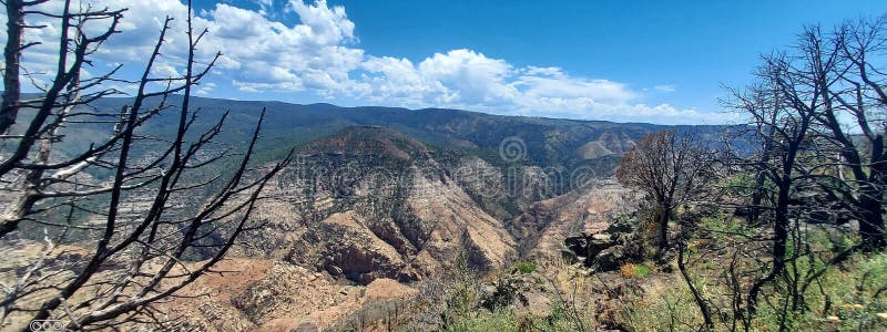 Sycamore Point Williams Arizona Stock Image - Image of canyon, williams ...