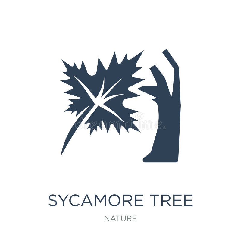 Sycamore Tree Logo Stock Illustrations – 160 Sycamore Tree Logo Stock ...