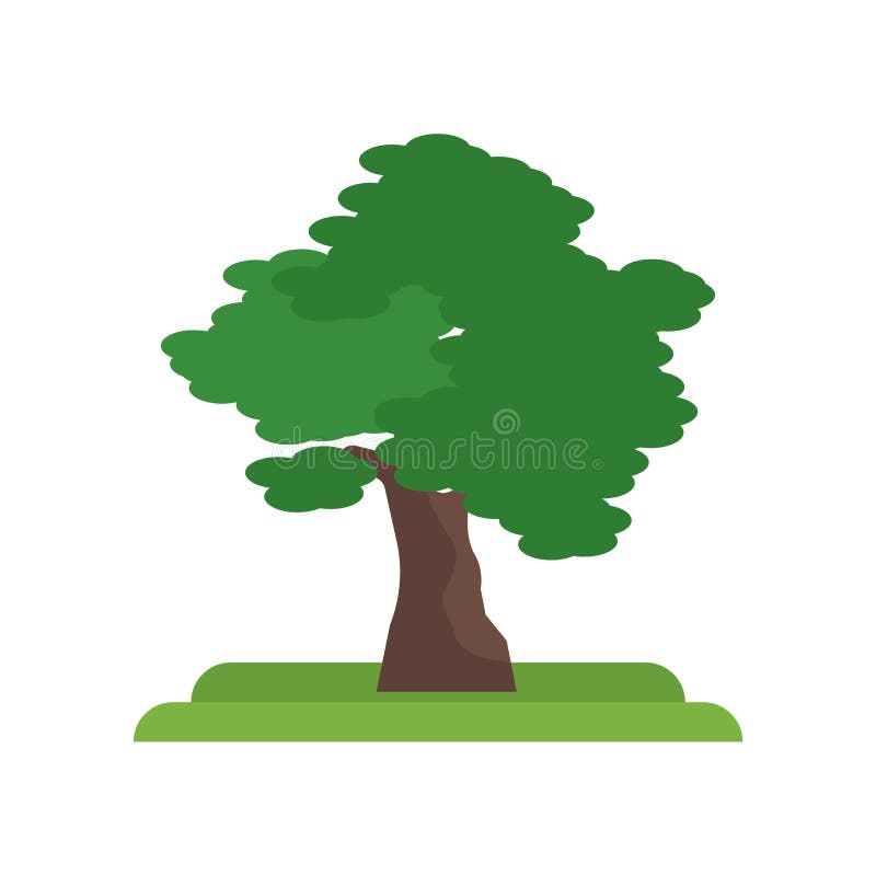 Sycamore Tree Logo Stock Illustrations – 146 Sycamore Tree Logo Stock ...