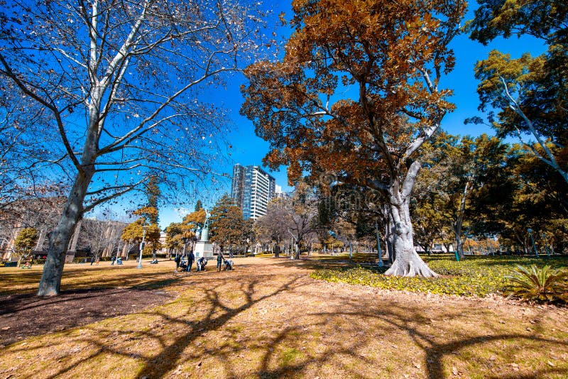 SYDNEY - AUGUST 19, 2018: Sydney Hyde Park on a Beautiful Sunny Day ...