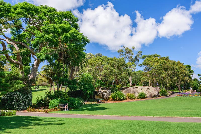 Sydney Australia 04 March 2023 Royal Botanic Garden Sydney Green