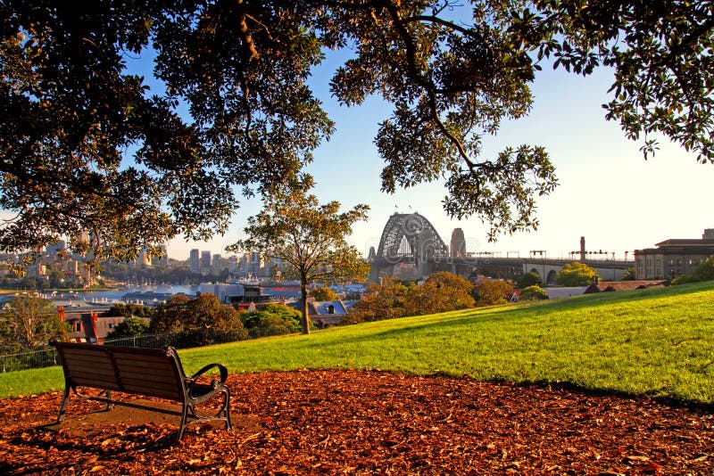 Sydney Harbour Bridge Viewed from Park Stock Image - Image of city ...