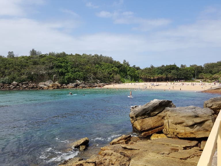 Sydney stock image. Image of summer, sydney, rose, relax - 68320507