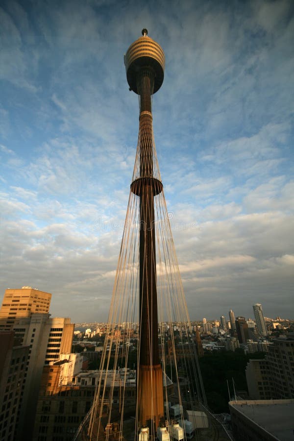 Sydney tower stock photo. Image of downtown, cables, sunrise - 1841608