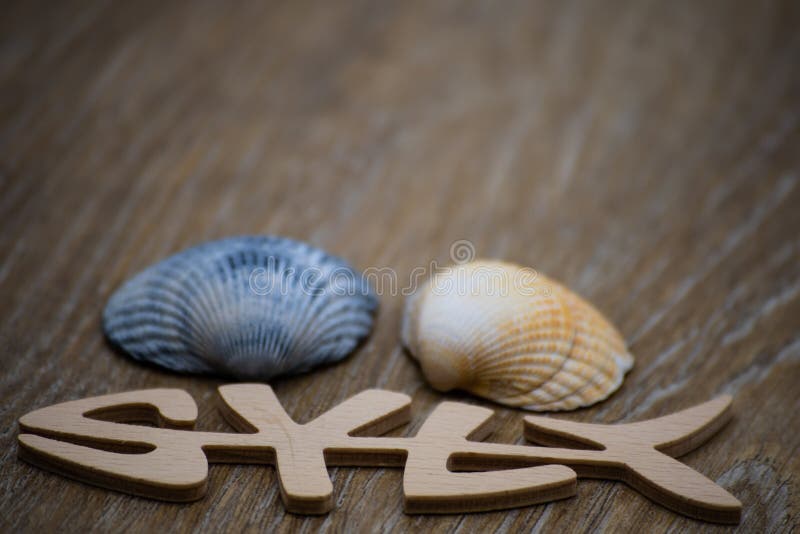 Two Sea Shells Picture. Image: 933666