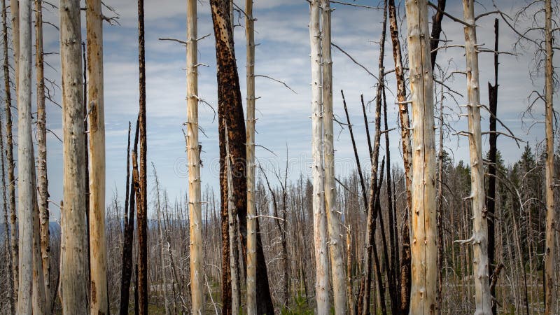 Sylvan pass stock photo. Image of strees, nature, destinations - 63020188