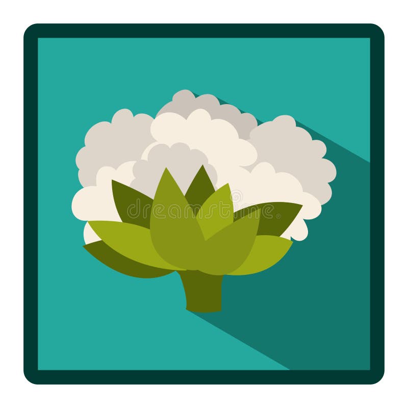 Symbol Cauliflower Icon Image Stock Illustration - Illustration of ...
