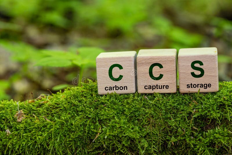 Symbol Ccs For Carbon Capture Storage Words Ccs On A Wood Cube On The Environmental Background