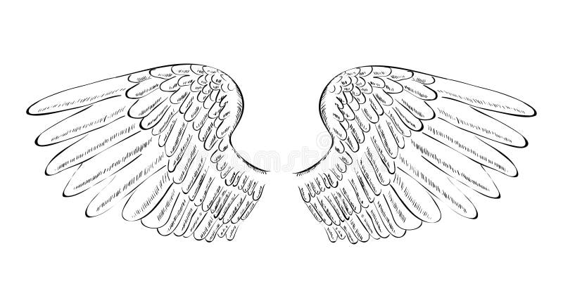 Symbol of Freedom - Wings of Freedom Icon Concept Vector Illustration ...