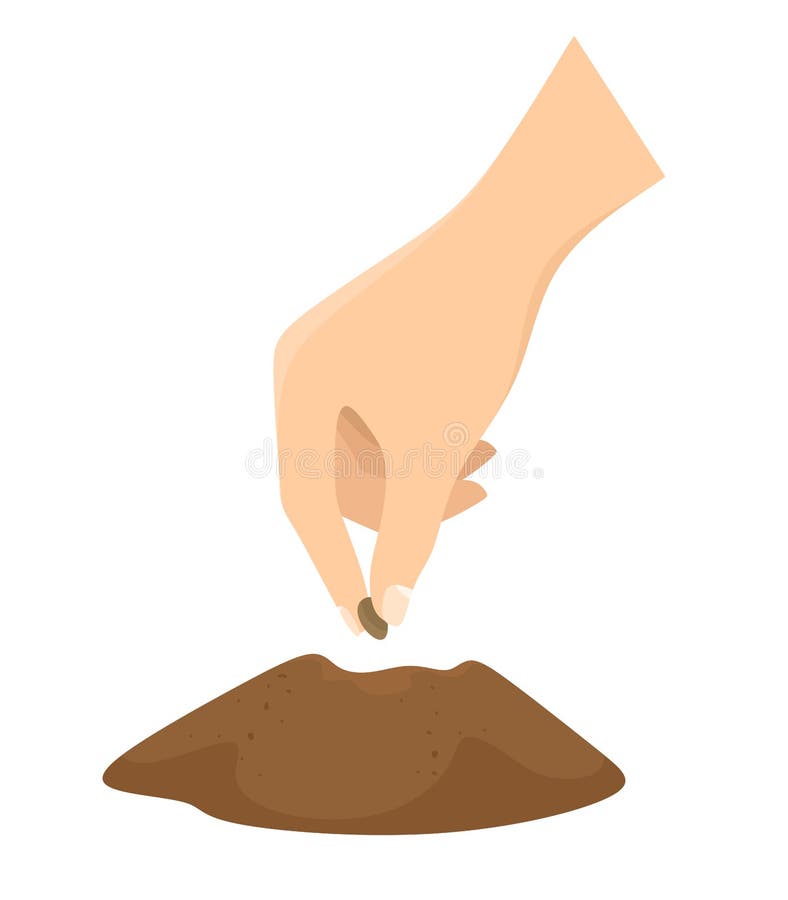 A Hand Plants a Seed in the Ground. Breeding, Agricultural Theme ...