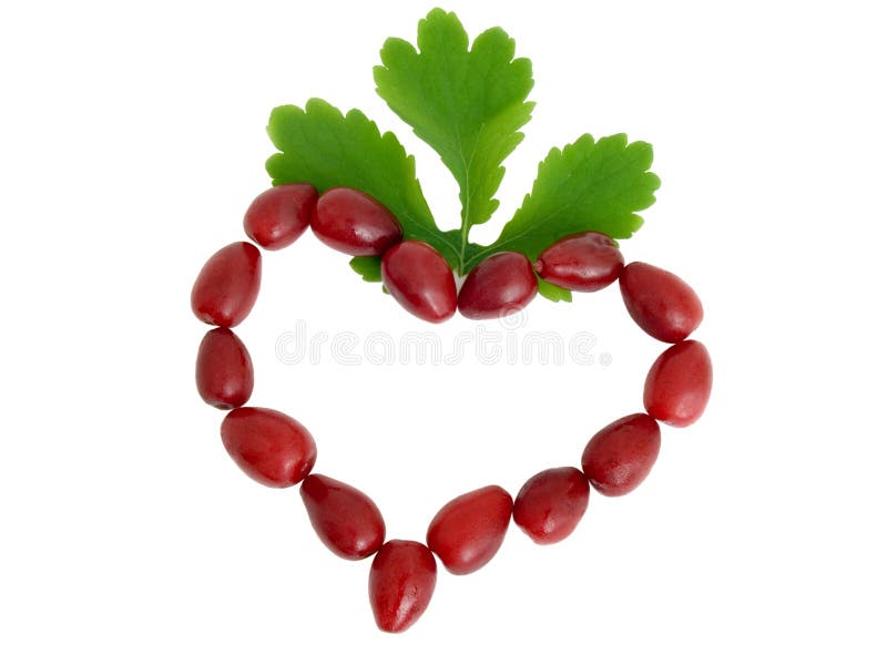 Symbol of Heart from Red Berries Stock Photo - Image of symbol, core ...