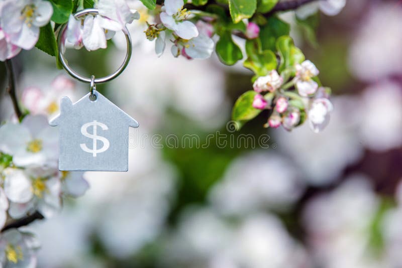 Symbol of the House on the Branches Stock Photo - Image of garden ...