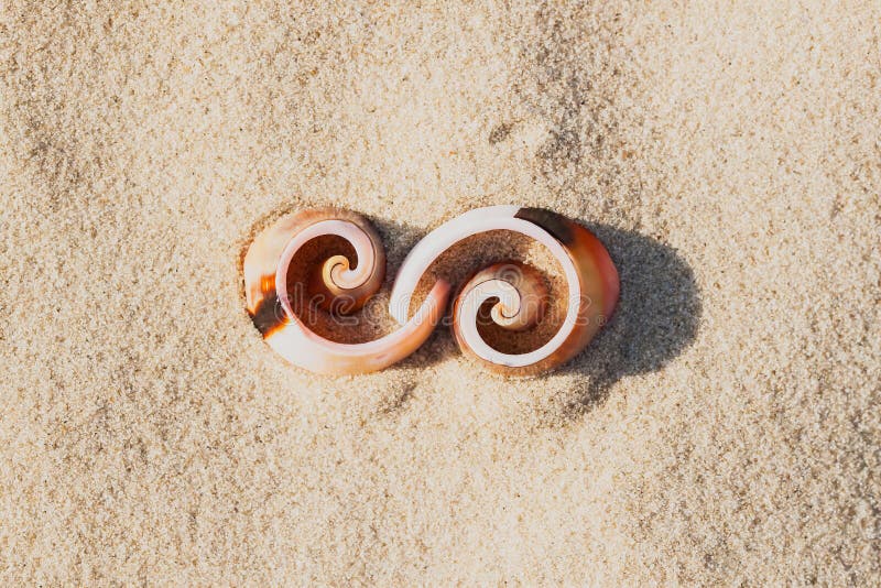 Conch Shell Symbolism Stock Photos - Free & Royalty-Free Stock Photos ...