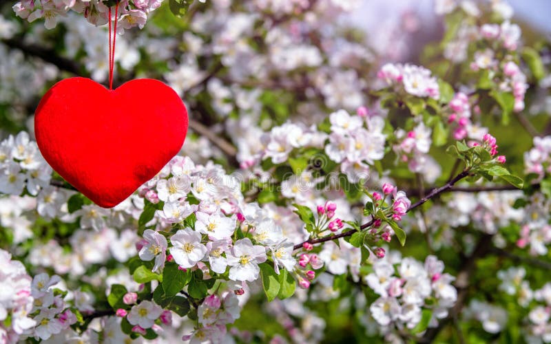 A Symbol of Love among the Branches Stock Photo - Image of romance ...