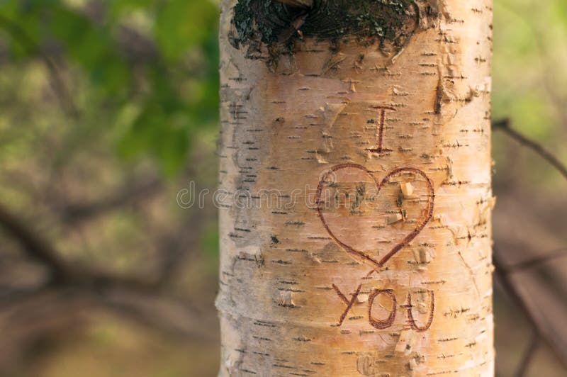 Symbol of Love Engraved on a Tree Stock Image - Image of promise, love ...