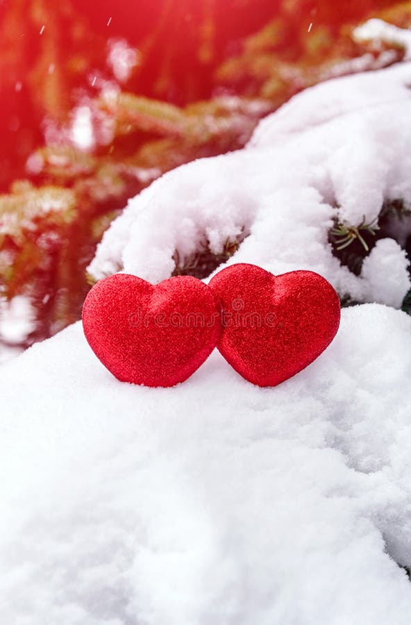 Symbol of Love Hangs on Snow-covered Spruce Stock Photo - Image of ...