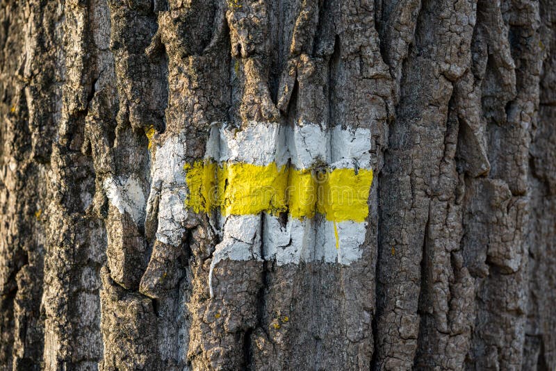 Symbol Sign of a Hiking Trail on Tree Stock Image - Image of navigation ...
