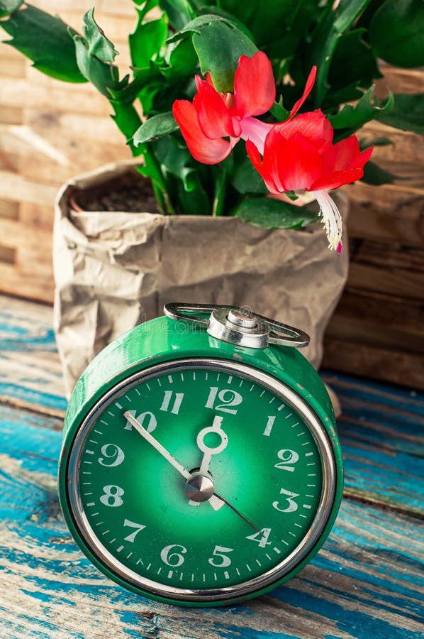 Symbol of Spring Green Clock and Blossoming Flower Stock Image - Image ...