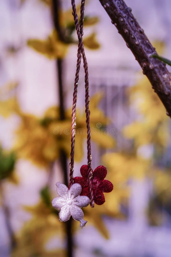 Symbol of the Beginning of Spring. Romanian Symbol Martisor Flowers of ...
