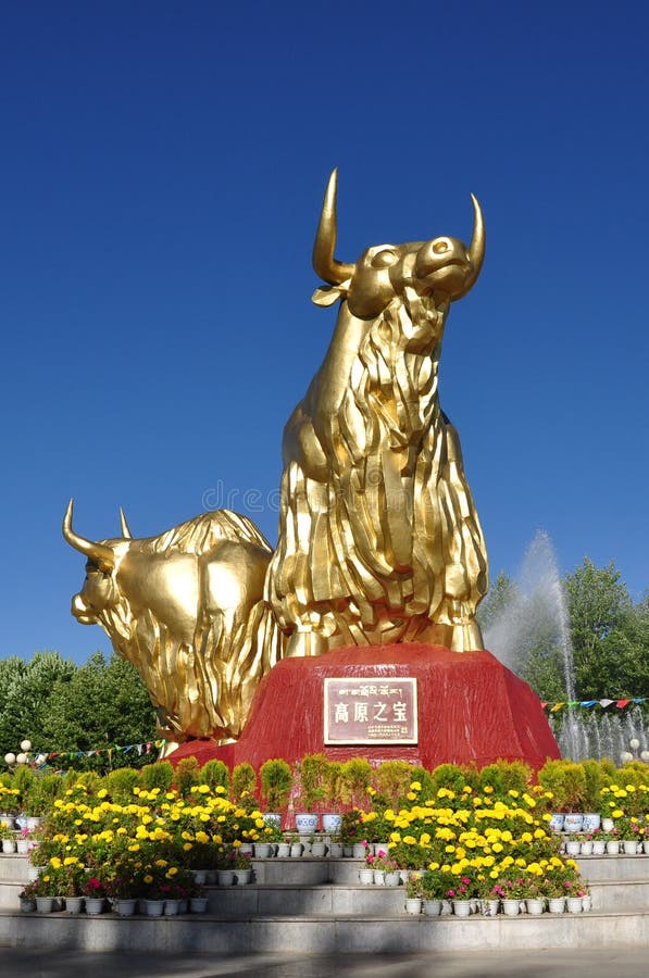 Symbol of yak stock photo. Image of symbol, lhasa, tibet - 13914200