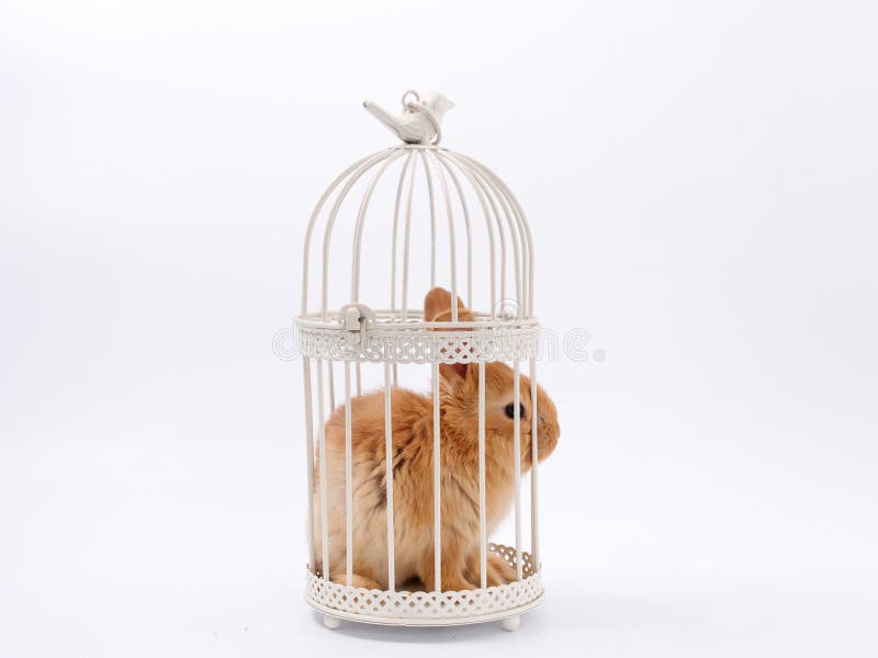 2,039 Easter 2023 Background Stock Photos - Free & Royalty-Free Stock ...