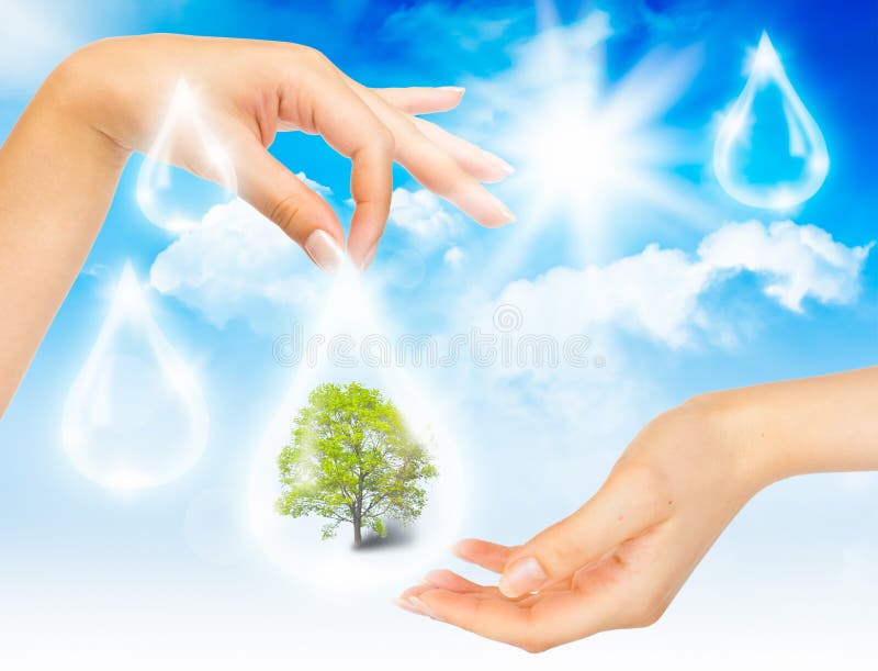 Symbole De Protection De L'environnement Photo stock - Image du ...