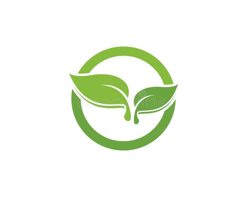Symboles De Logos De Feuille Illustration de Vecteur - Illustration du ...