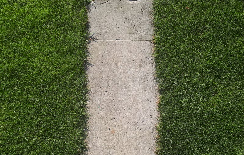 Symetric Concrete Path and Beautiful Green Grass on the Sides Stock ...