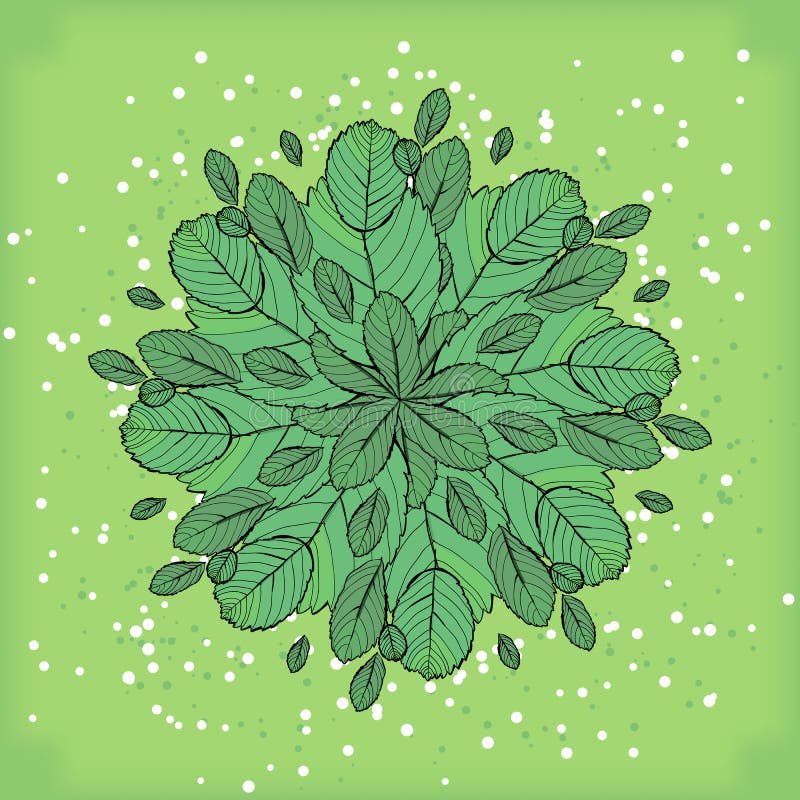 Symmetrical Geometric Circular Pattern Composition of Plants. Stock ...