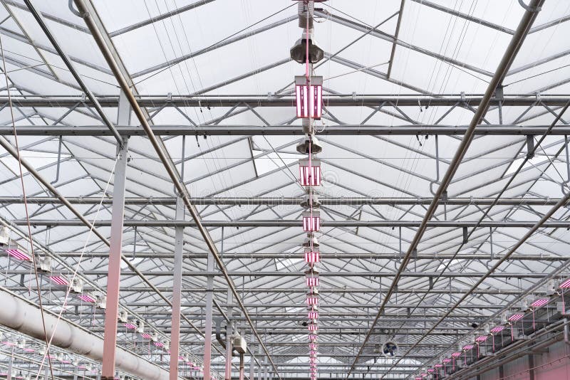 Symmetrical Greenhouse Structure with Red Grow Lights Stock Image ...
