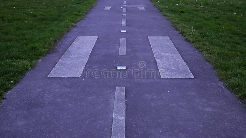 Symmetrical Park Pathway with Geometric Stone Patterns Stock Footage ...