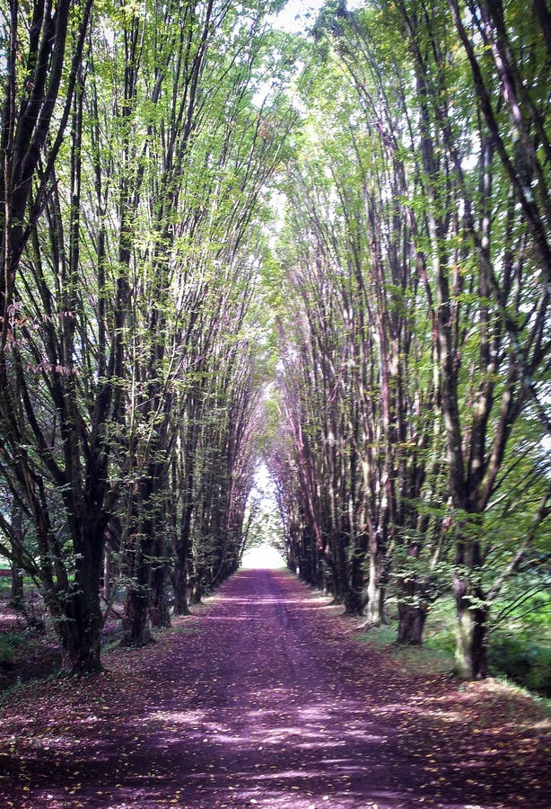 Symmetrical Path To Happiness, Window To the Sky Stock Image - Image of ...