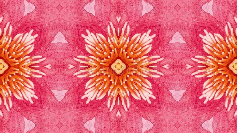A Symmetrical Pattern Featuring Soft Pink Textures Against a White ...