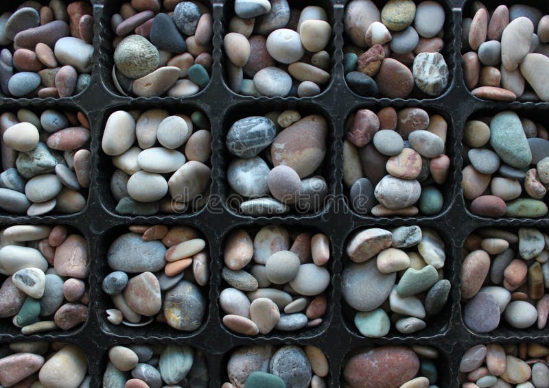 Symmetrical Pattern of Plastic Tray with Same Cells Filled with Round ...